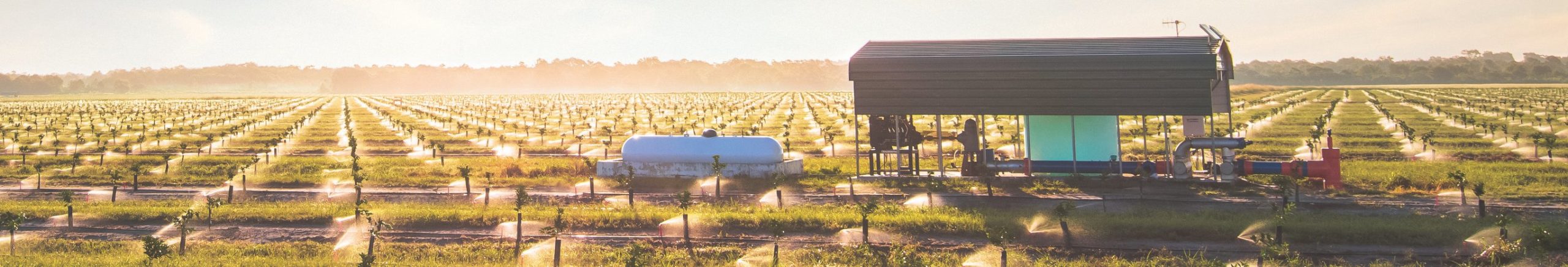 Propane Farm Incentive Program - Florida Public Utilities
